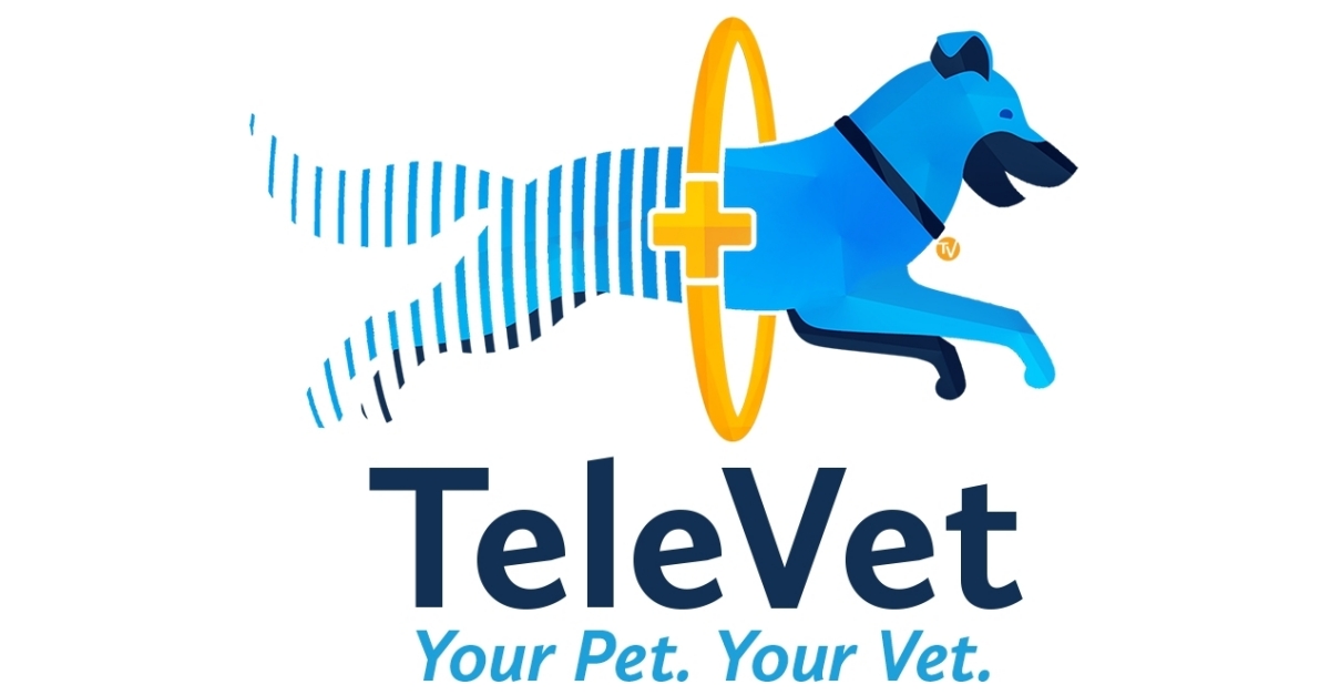 TeleVet Offers Veterinarians Free Access to Its Telemedicine Platform ...
