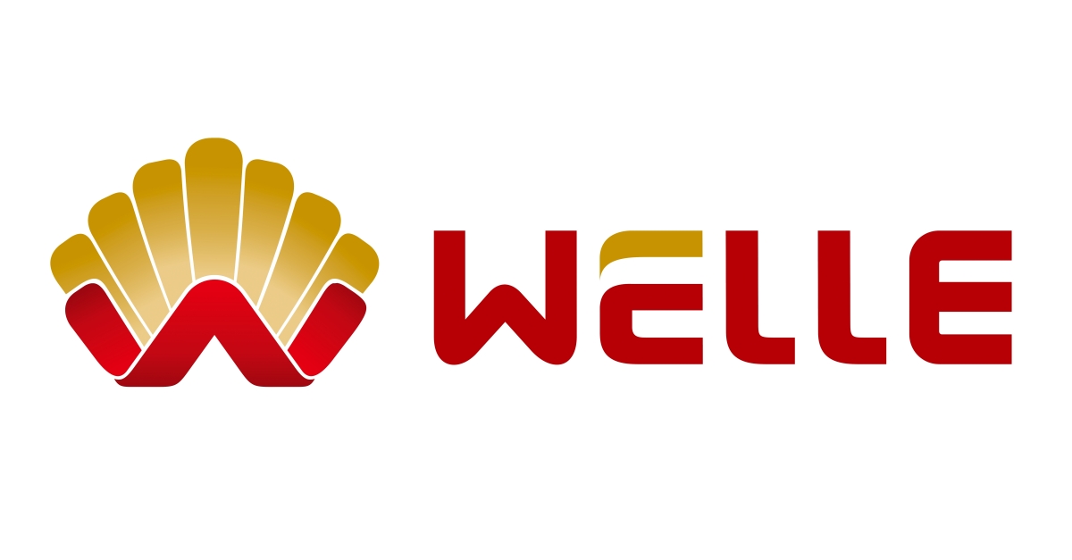 WELLE Group Announces 2019 Annual Results | Business Wire