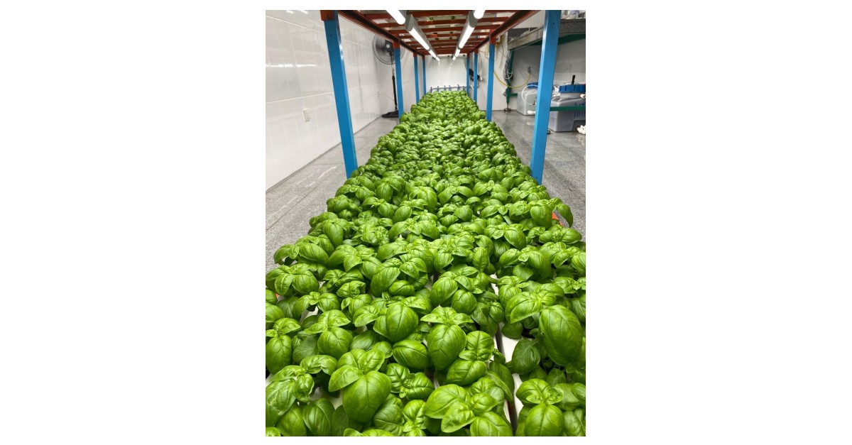 Seoul Semiconductor’s SunLike Natural Spectrum LEDs Adopted by Fiberli ...