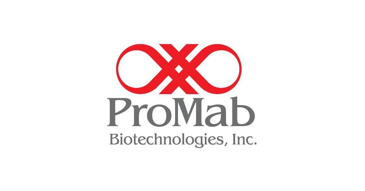 ProMab Presents Promising Results in Humanized CD19 CAR-T Cells Trial ...