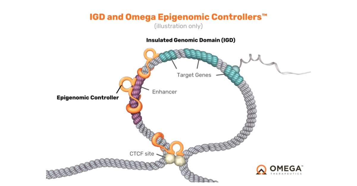 Omega Therapeutics Advances Controllable Epigenomic Programming ...
