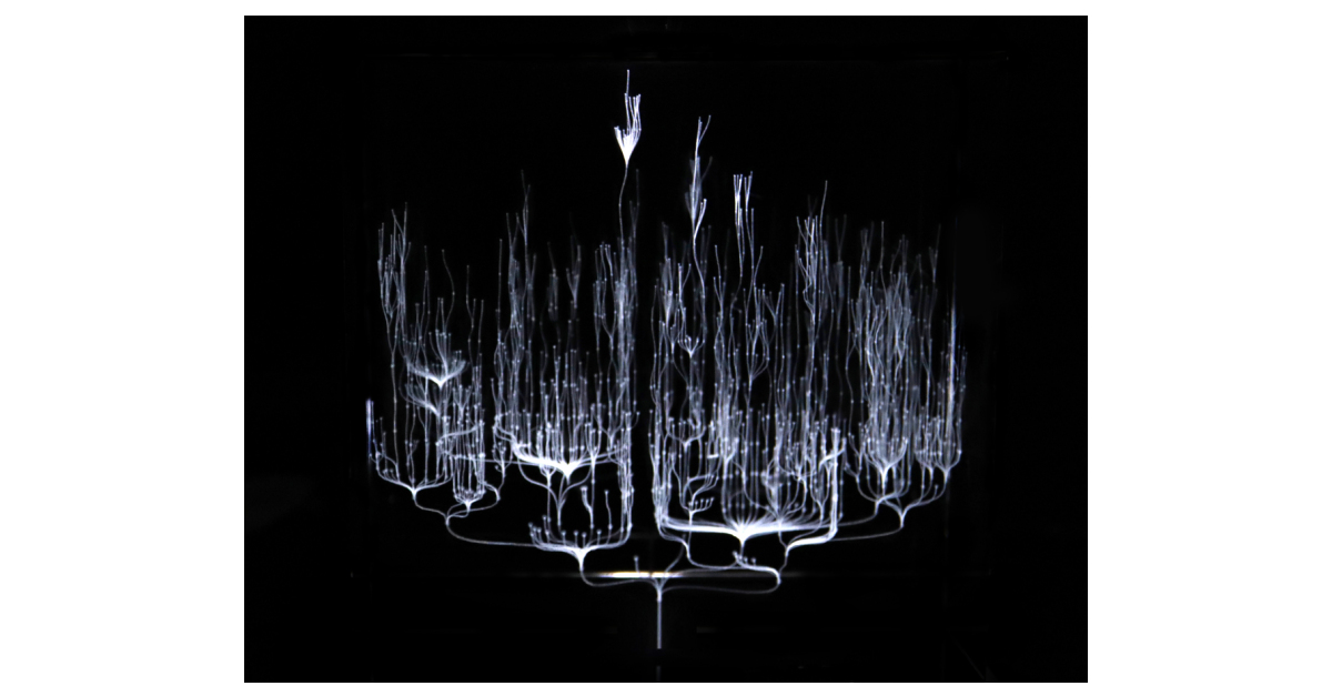 Explore the Year’s Most Innovative Digital Art Projects, Research via ...