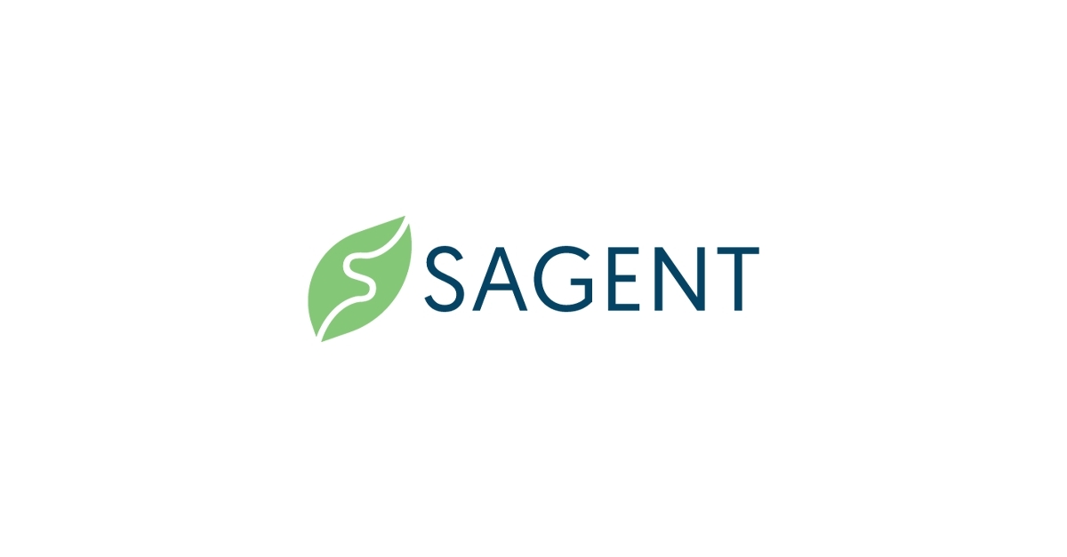 Sagent Appoints Former BofA Exec as CTO to Accelerate Consumer-First ...