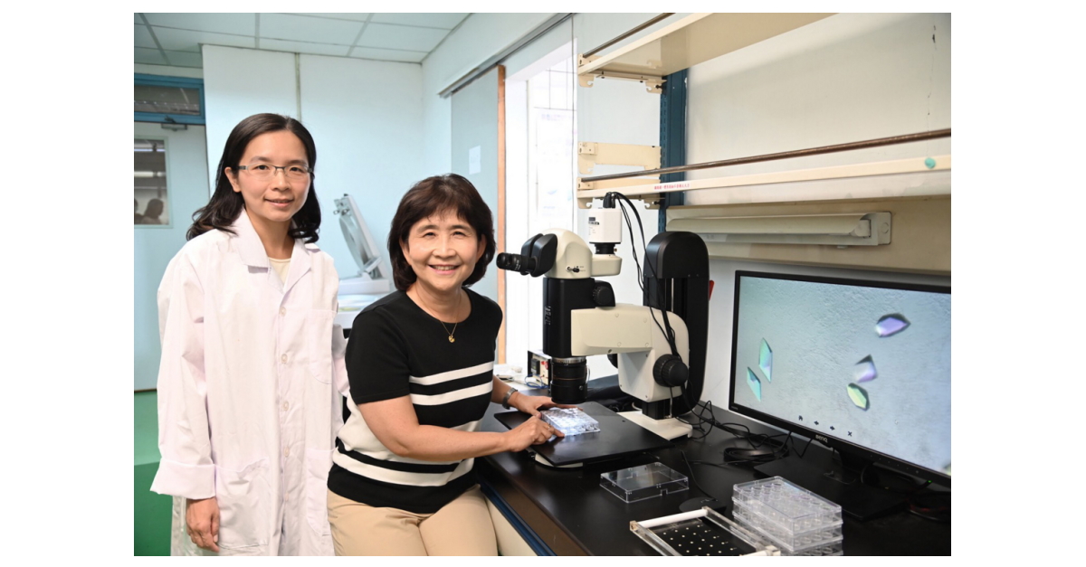 NTHU Unveils Ray of Hope for Improving Dementia Treatment | Business Wire