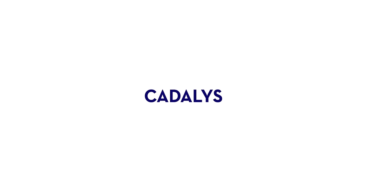 Cadalys and SunBridge Partners Launch Expanded Salesforce® Employee ...
