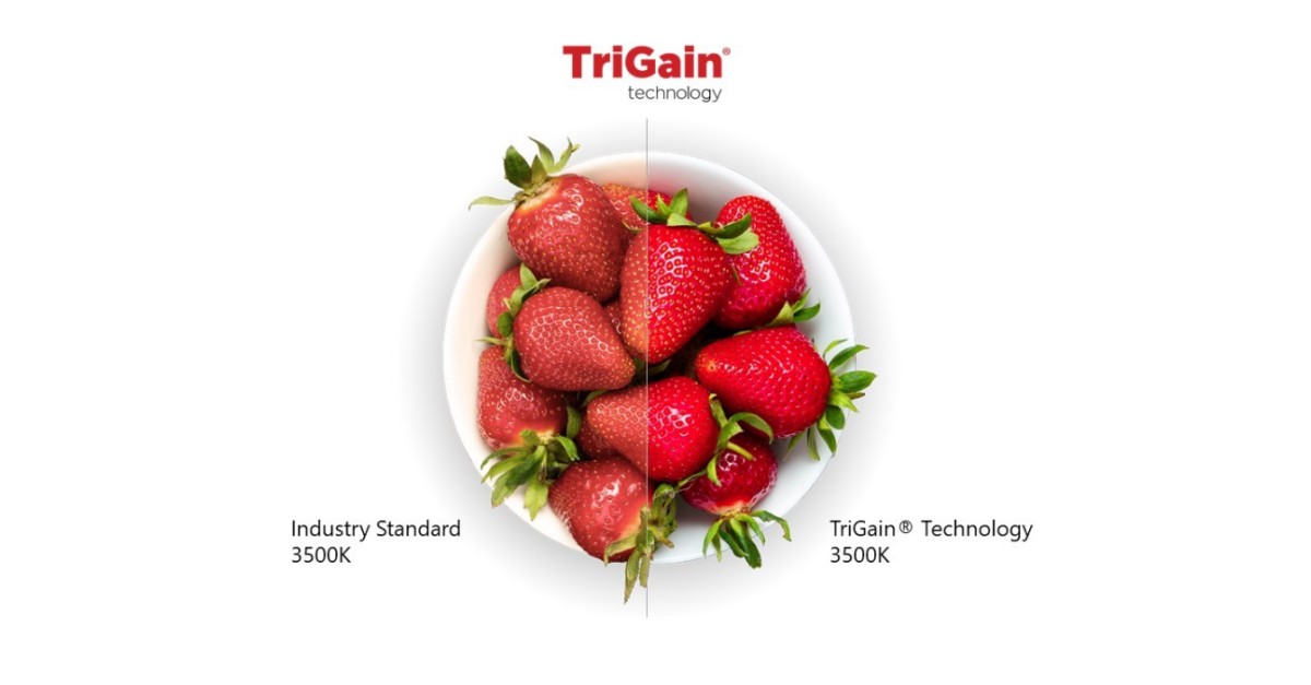 Nichia Corporation Becomes First to License TriGain® Technology from GE ...
