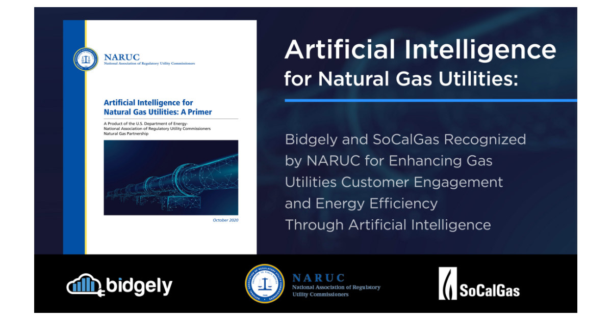 Bidgely Recognized by NARUC for Enhancing Gas Utility Customer ...