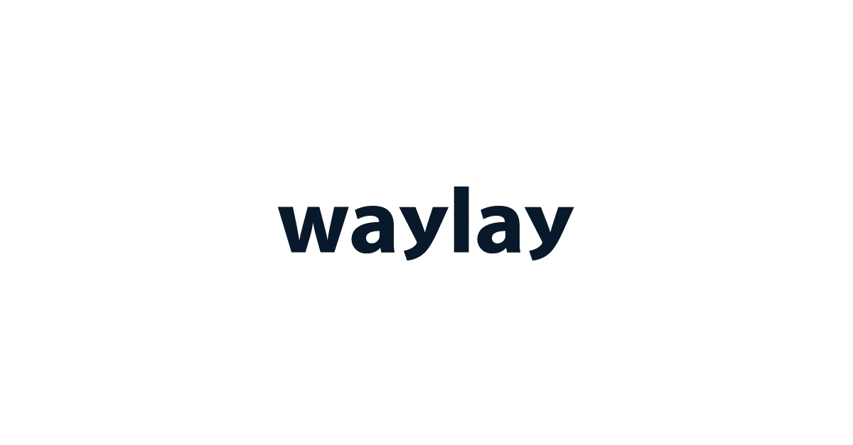 Leonard Donnelly Appointed CEO of Waylay | Business Wire