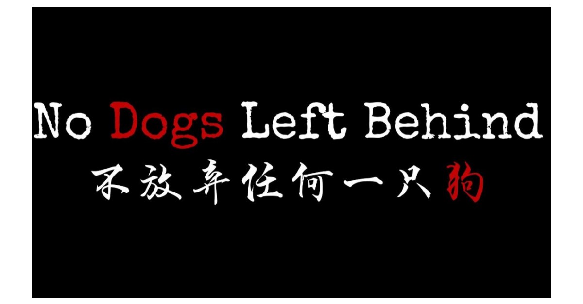 No Dogs Left Behind Provides Happy Holidays for 27 Rescue Dogs From the ...