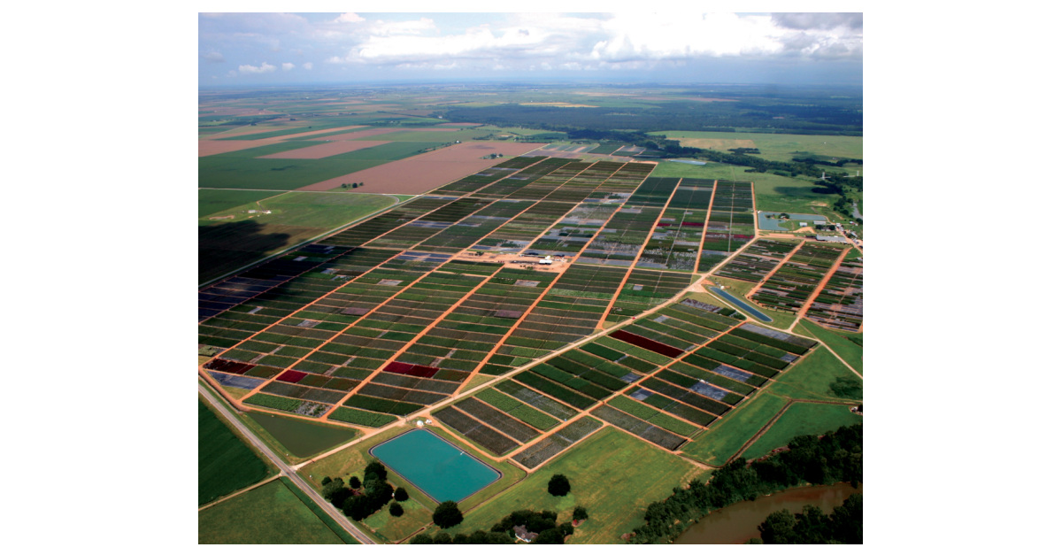 TreeTown USA Announces Rebrand | Business Wire