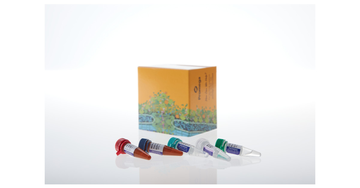 Cancer Researchers Can Assess Microsatellite Instability (MSI) Through ...