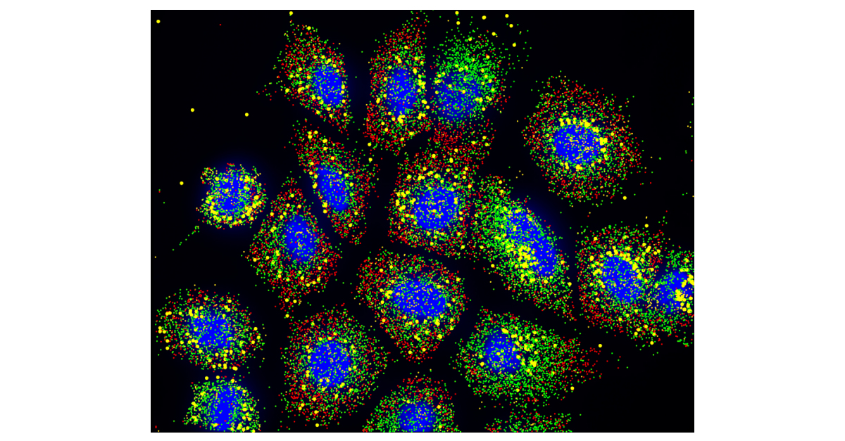 Resolve Biosciences Announces Initial Results from Early Access ...