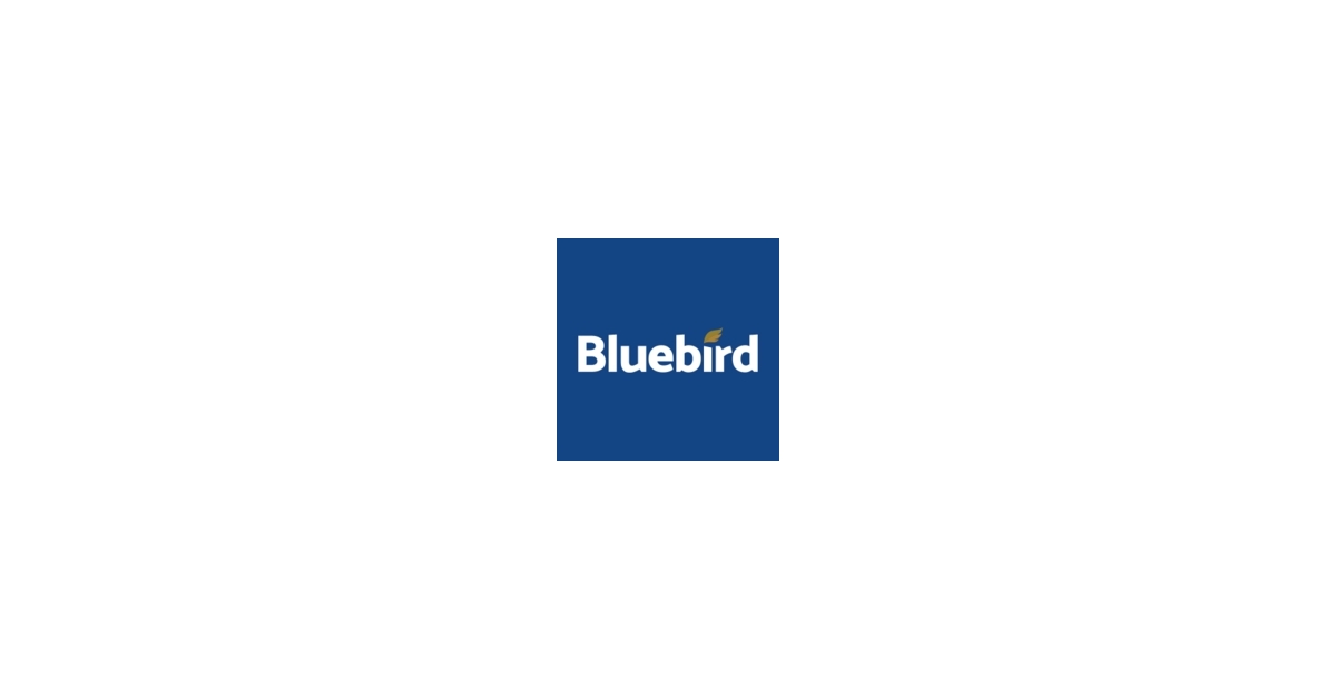 Bluebird Merchant Ventures (LSE: BMV) and Auric Network Provide Funding ...