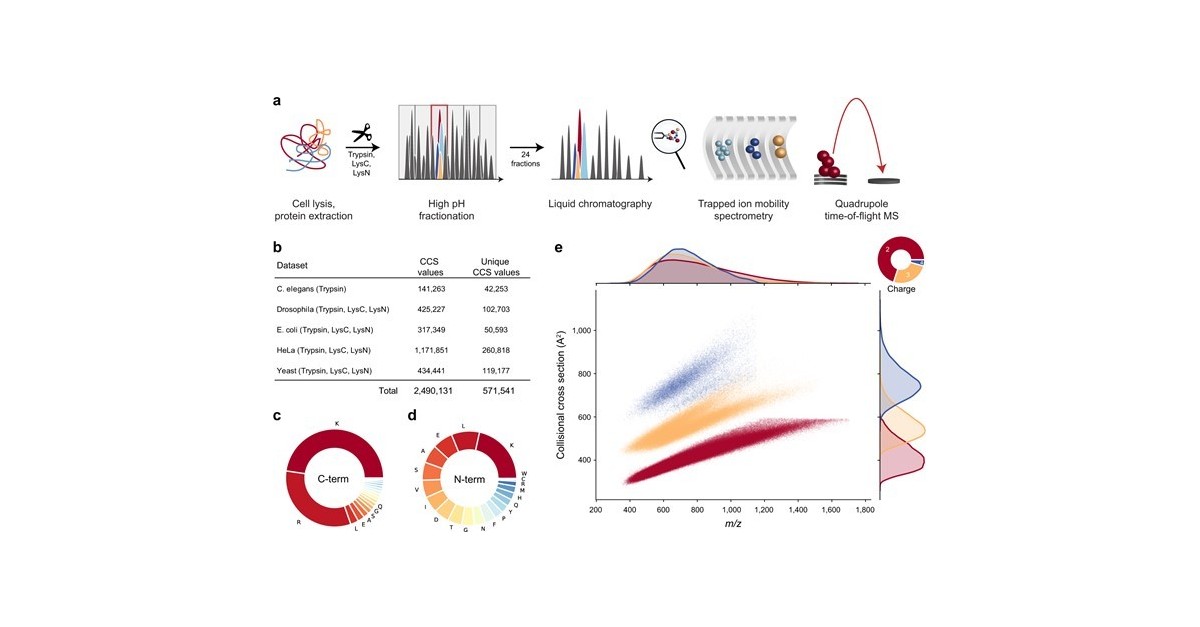 New Nature Communications Publication by Mann & Theis Groups Harnesses ...