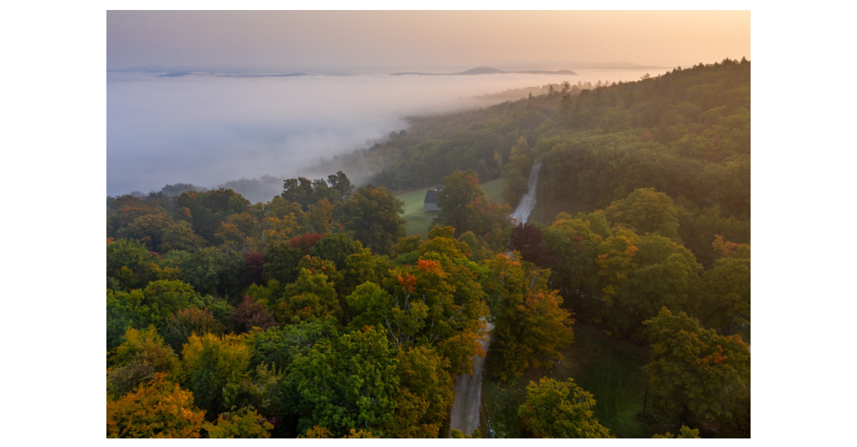 Better Place Forests Announces Online Tours Now Available for Its ...