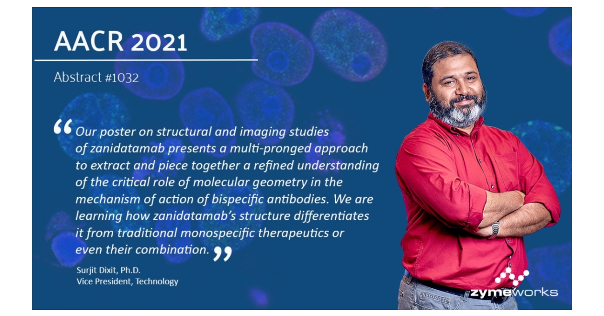 Zymeworks Showcases Preclinical Assets, Including New Therapeutic ...