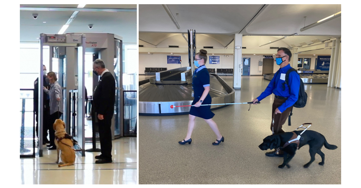 Guide Dogs for the Blind and The Seeing Eye Create Video to Help ...