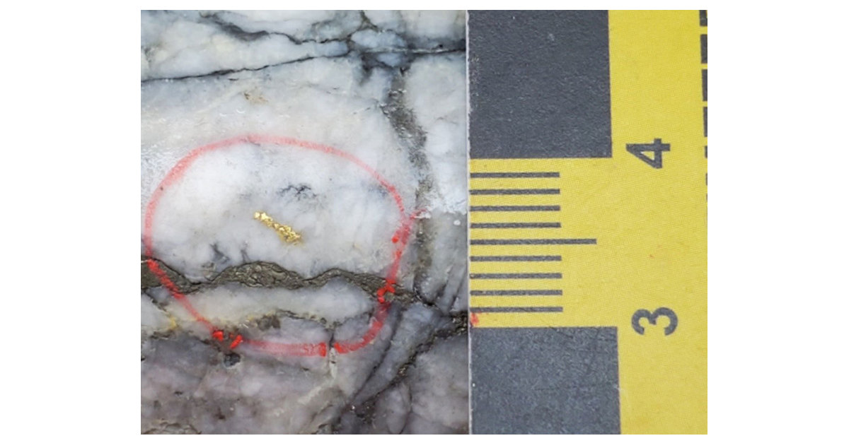 Sokoman Announces Additional High-Grade Results from the Moosehead Project, Central Newfoundland ...