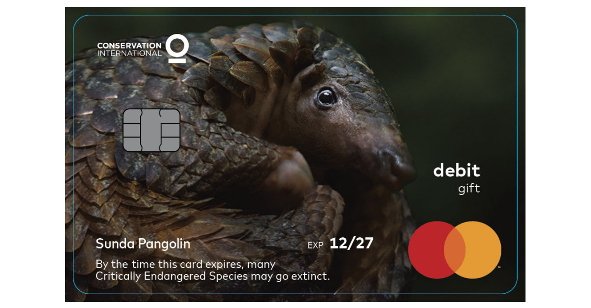 Mastercard Partners with Conservation International to Protect and ...