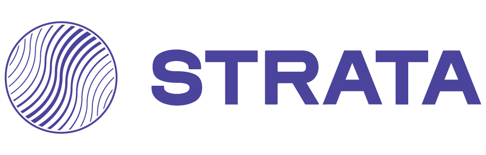 Strata Identity Appoints Industry Luminary Gerry Gebel to Lead ...