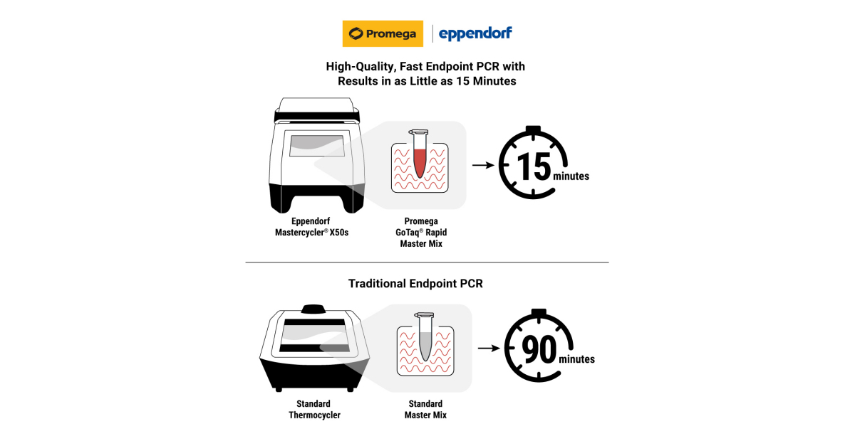 Biotech and Pharma Labs Performing Endpoint PCR Can Reduce ...