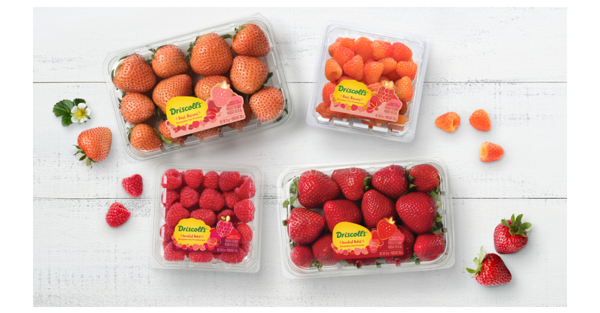 Driscoll’s Kicks Off a Deeply Delicious Summer Season With the Return ...