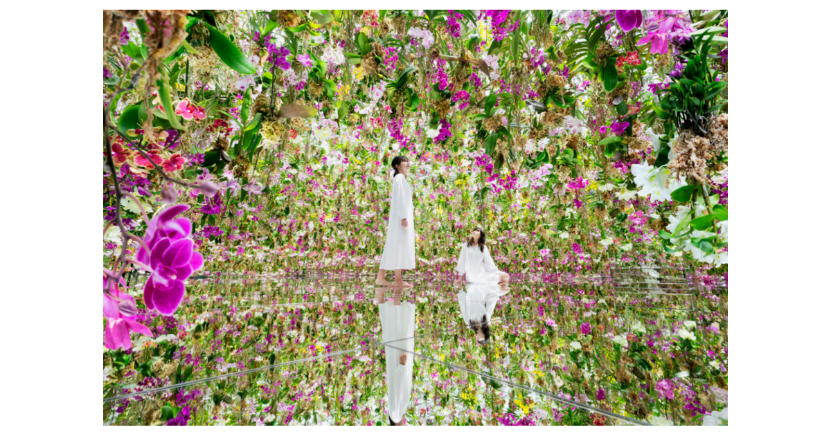 teamLab Planets inaugure le 2 juillet à Tokyo deux nouvelles œuvres d ...