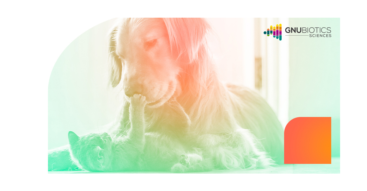 Gnubiotics Announces Self-Affirmed GRAS Designation of GNUbiome FI ...