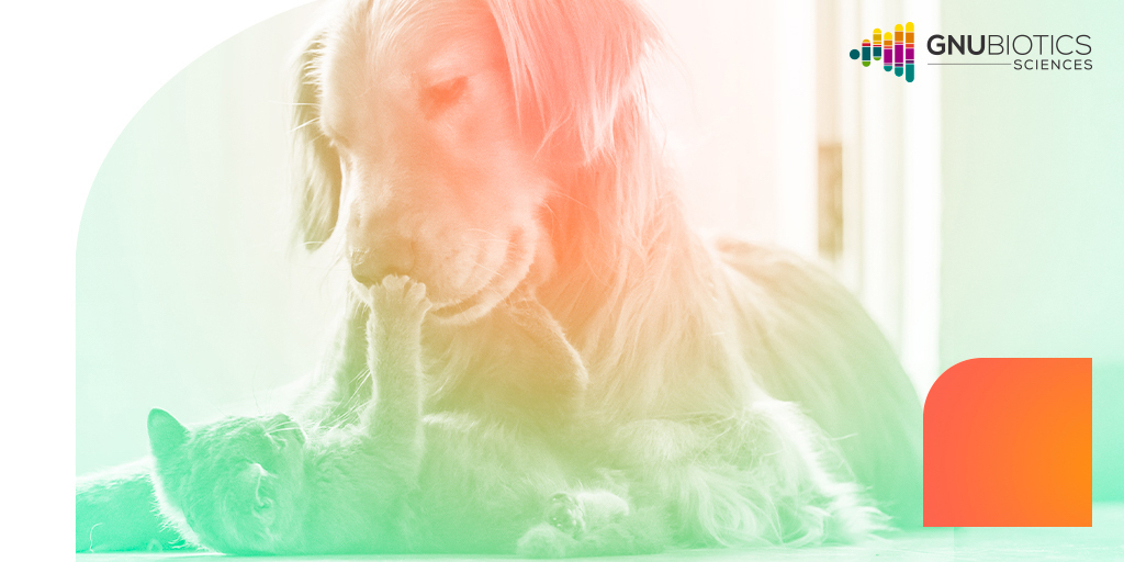 Gnubiotics Announces Self-Affirmed GRAS Designation of GNUbiome FI ...