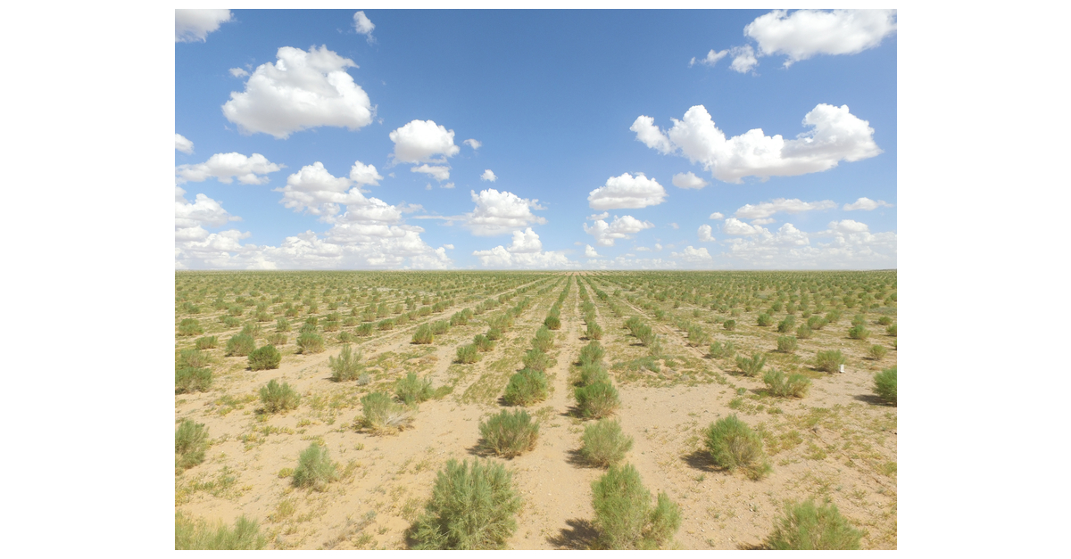 Over 600 Million People Planted More Than 326 Million Trees via Alipay ...