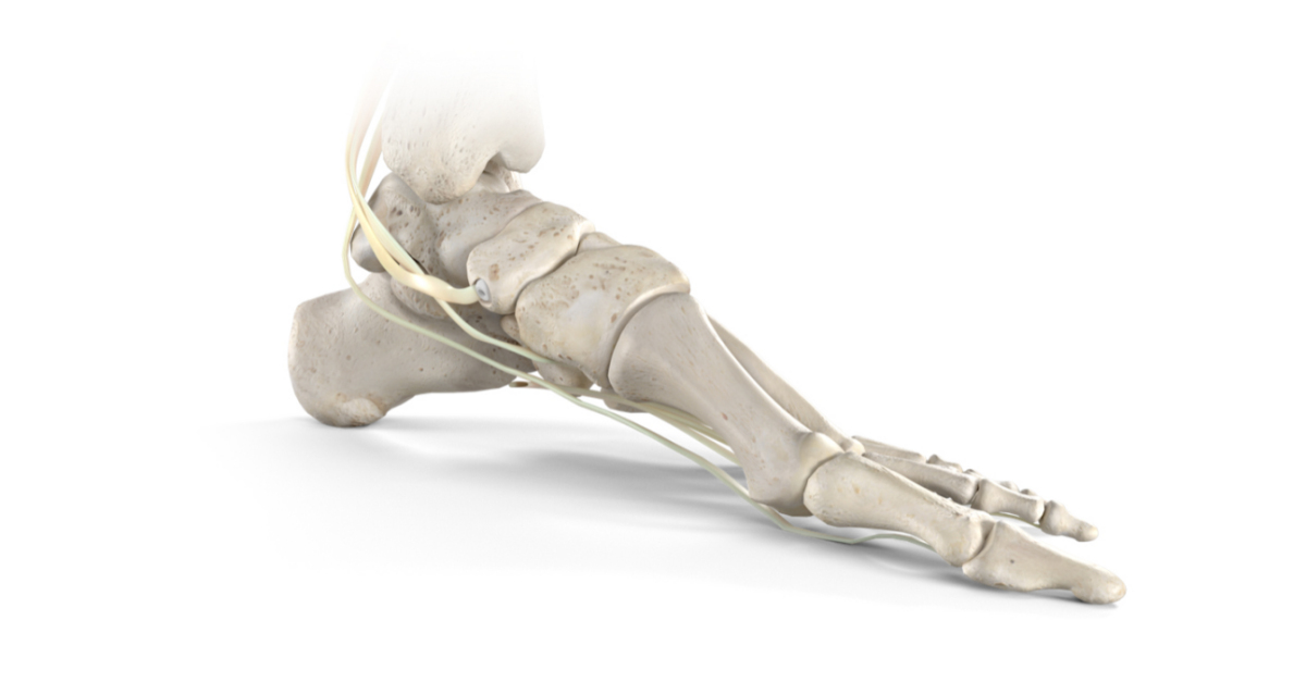 Stryker Launches New Tendon Fixation Device System | Business Wire