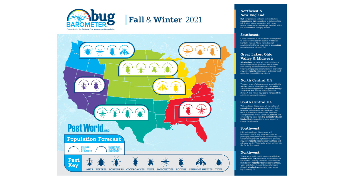 Experts Warn of Increased Pest Activity This Fall as Result of Long ...