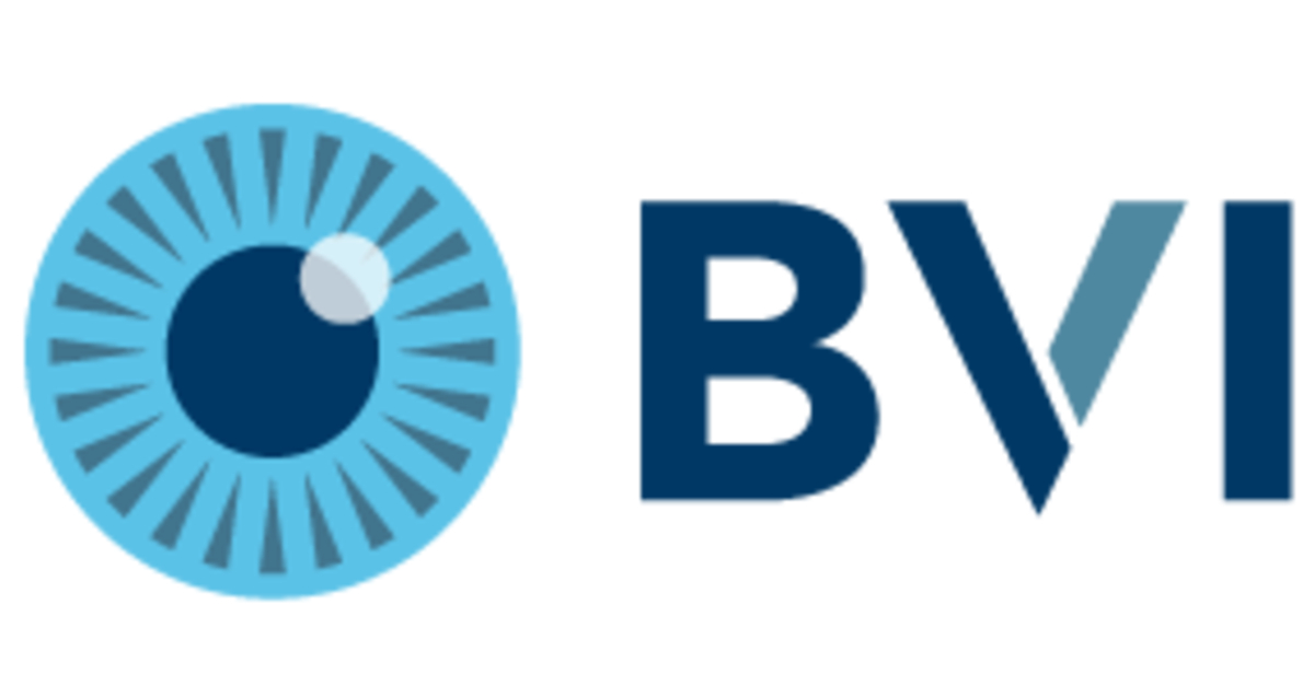 Riassunto: BVI annuncia un investimento e la collaborazione con ...