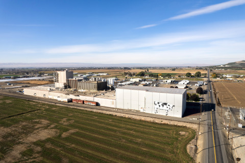 Darigold Unveils World’s Largest World Cow Mural in Washington ...