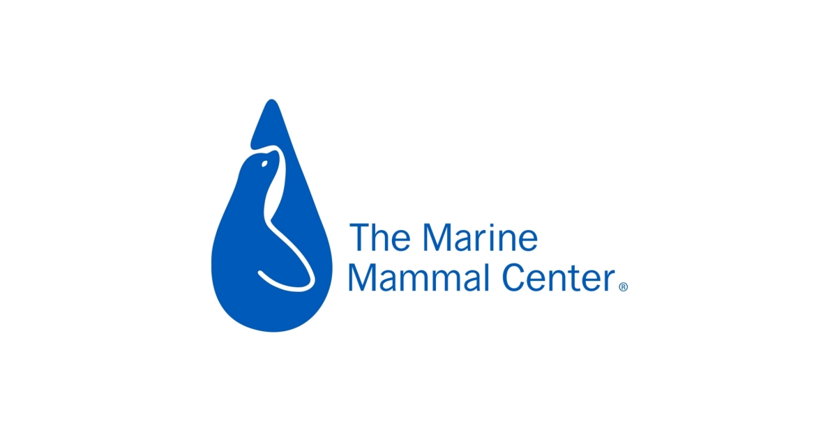 Dr. Dominic Travis Announced as New Chief Program Officer at The Marine ...