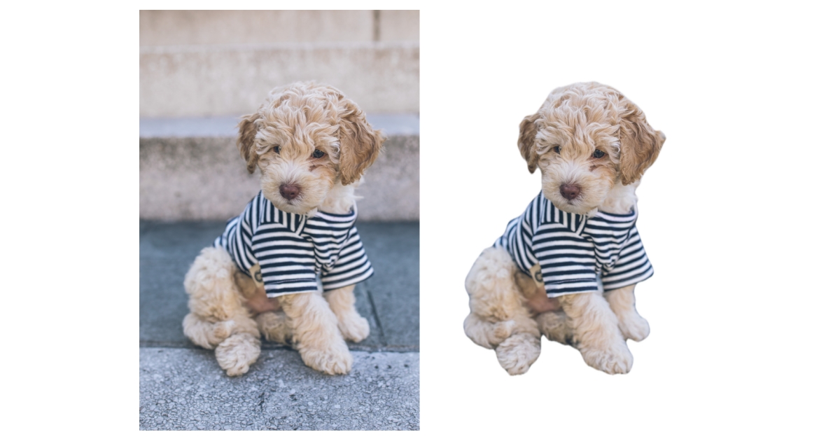 Picsart’s AI Lab Launches Advanced Background Remove Tool | Business Wire