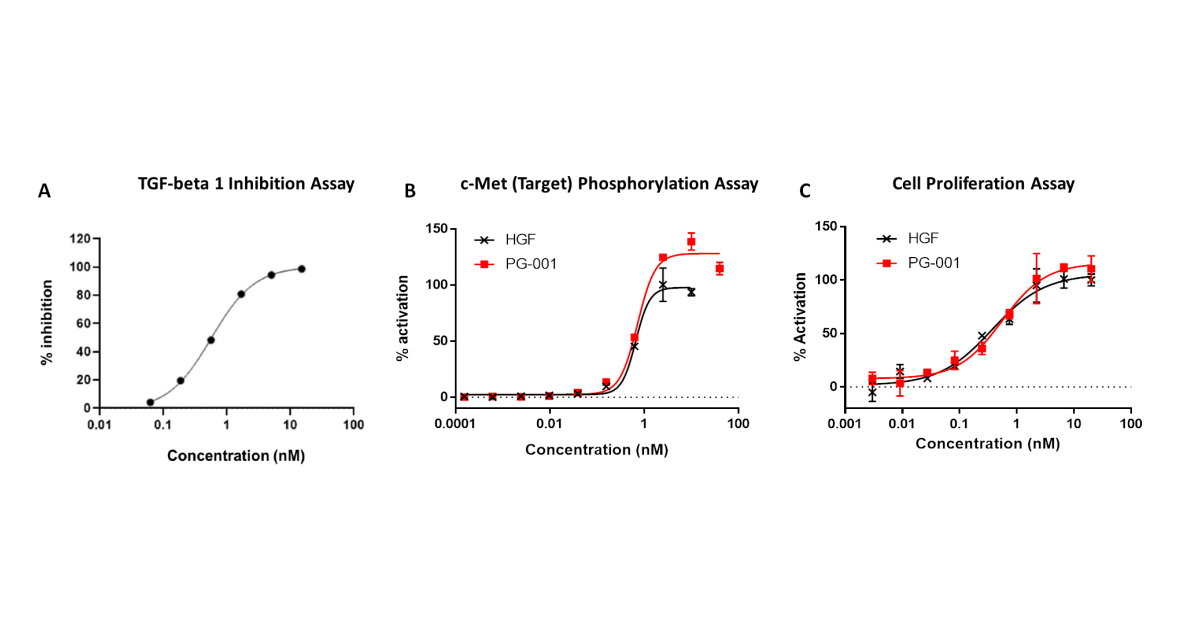 PeptiGrowth Inc. Is Launching A Novel Synthetic Peptide TGFβ1 Inhibitor ...