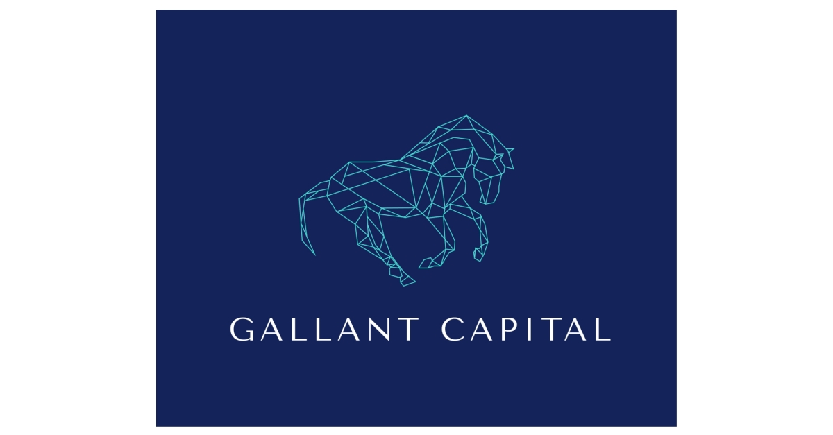 Gallant Capital Invests in SJV Data Solutions and Wholesale Screening ...