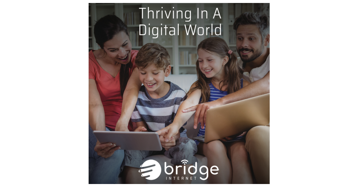 Bridge Internet: Internet for rural areas – Myth, Reality or ...
