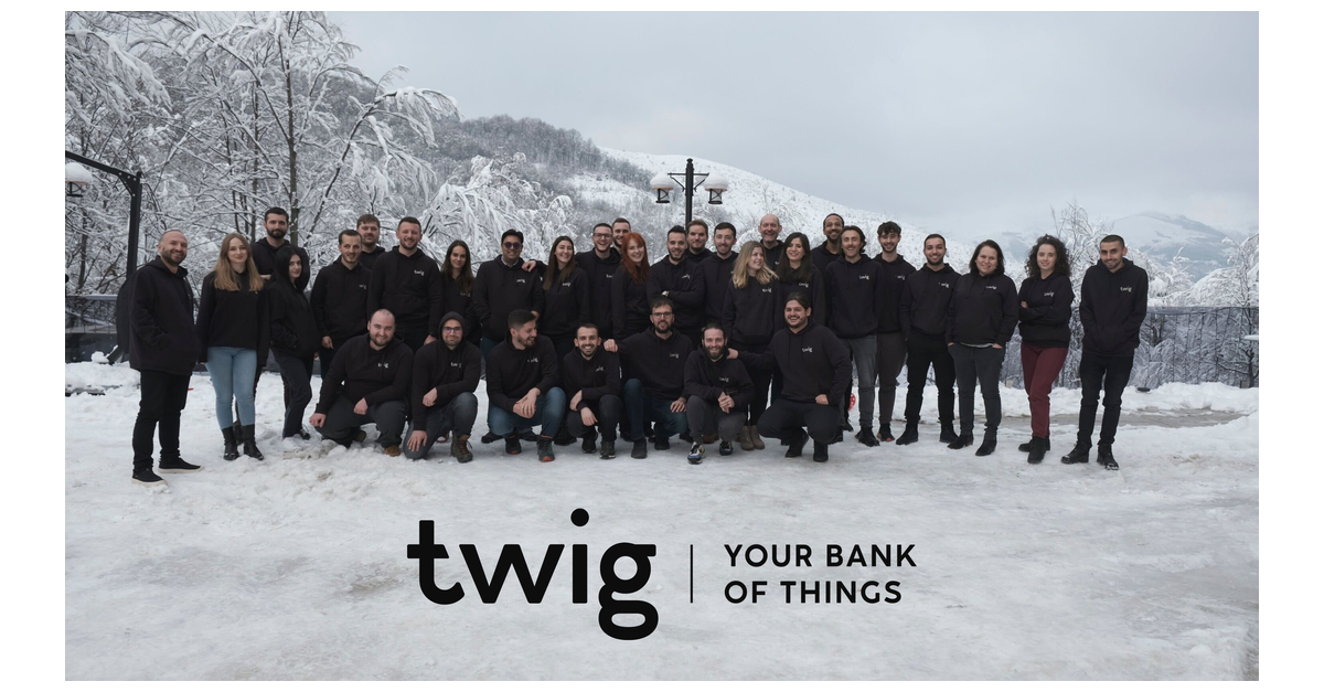Twig Raises $35M Series A Round to Fuel Web 3.0 Green Payment ...