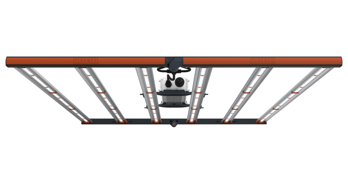 Fluence lance SPYDR Fang, offrant des performances professionnelles ...