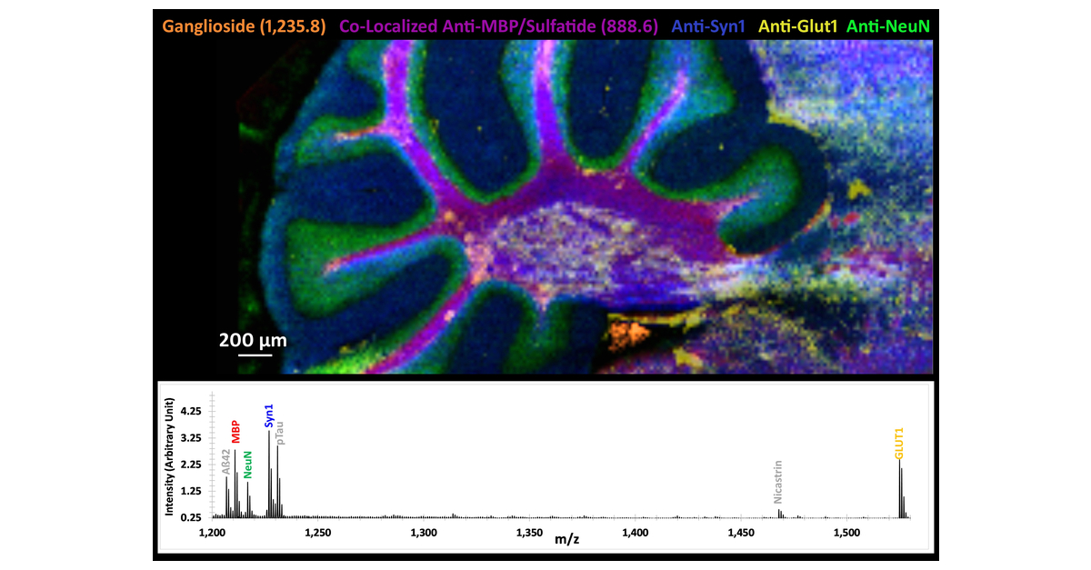 Bruker Announces Key Innovations for Multiplexed Spatial Proteomics and ...