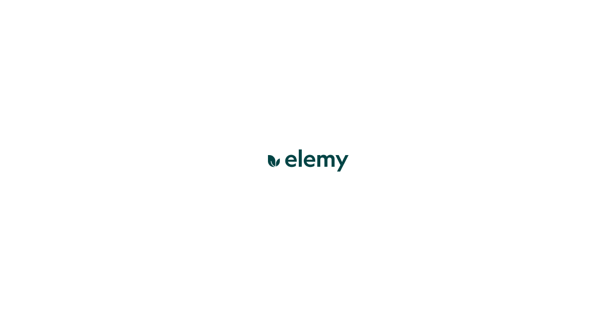 Elemy Launches Ecademy in Texas to Address Growing Need for Childhood ...