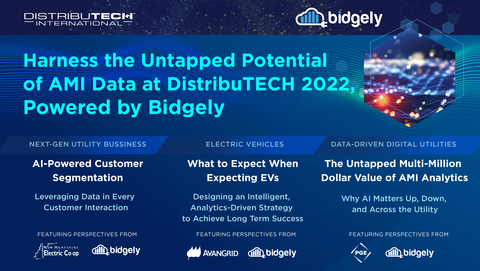 Bidgely leadership team to illustrate the value of smart meter data and ...