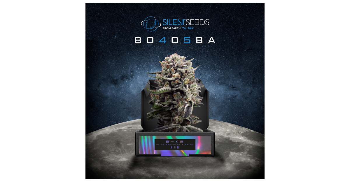 Booba et Silent Seeds annoncent le lancement d’une nouvelle génétique ...