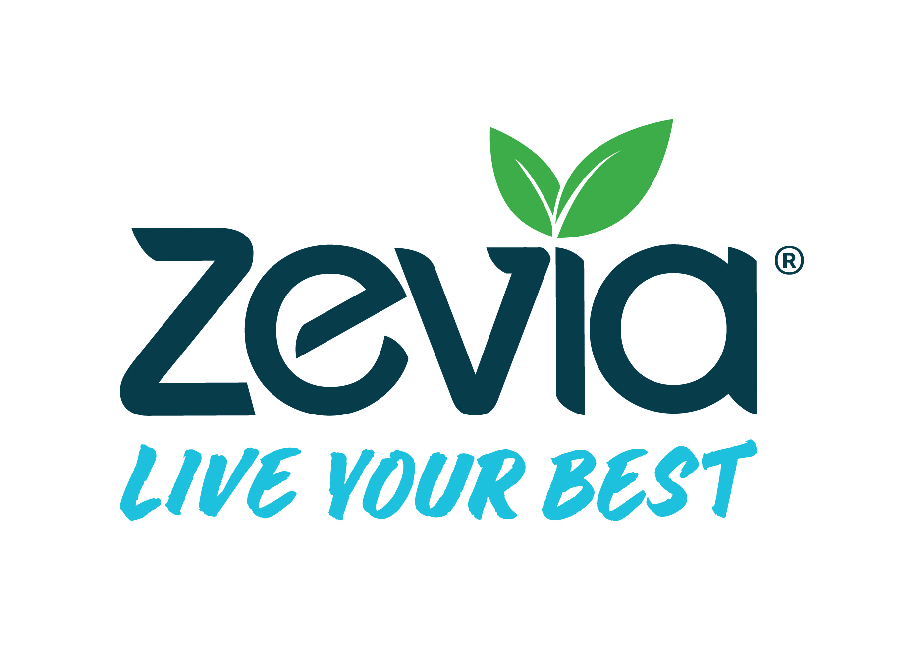 Zevia Logo Zevia Natural Ginger Ale Stevia Diet Soda Case