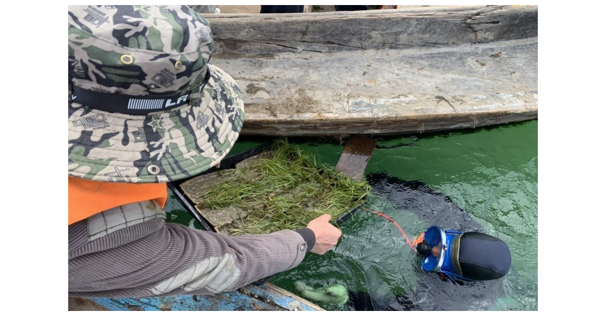 Alipay Ant Forest Introduces New Option for Users to Contribute to the ...