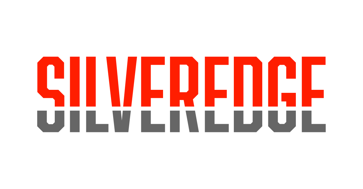 People-Driven Industry Veteran Emily Ringer Joins SilverEdge Government ...