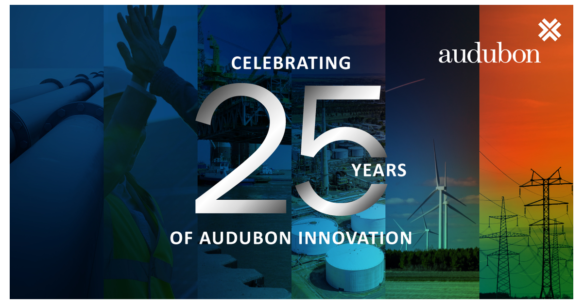 Audubon Engineering Company Celebrates 25th Anniversary | Business Wire