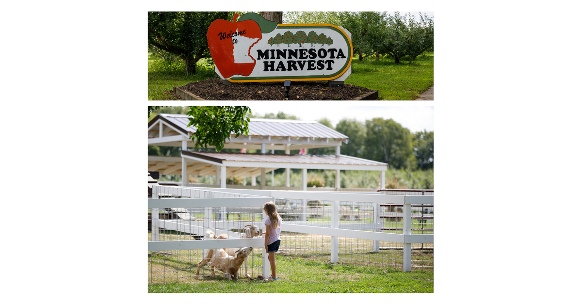 Family-Owned Ferguson’s Orchards Acquires Historic Minnesota Harvest ...
